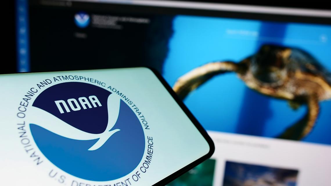 What does Mount Carmel Compound look like? | kcentv.com