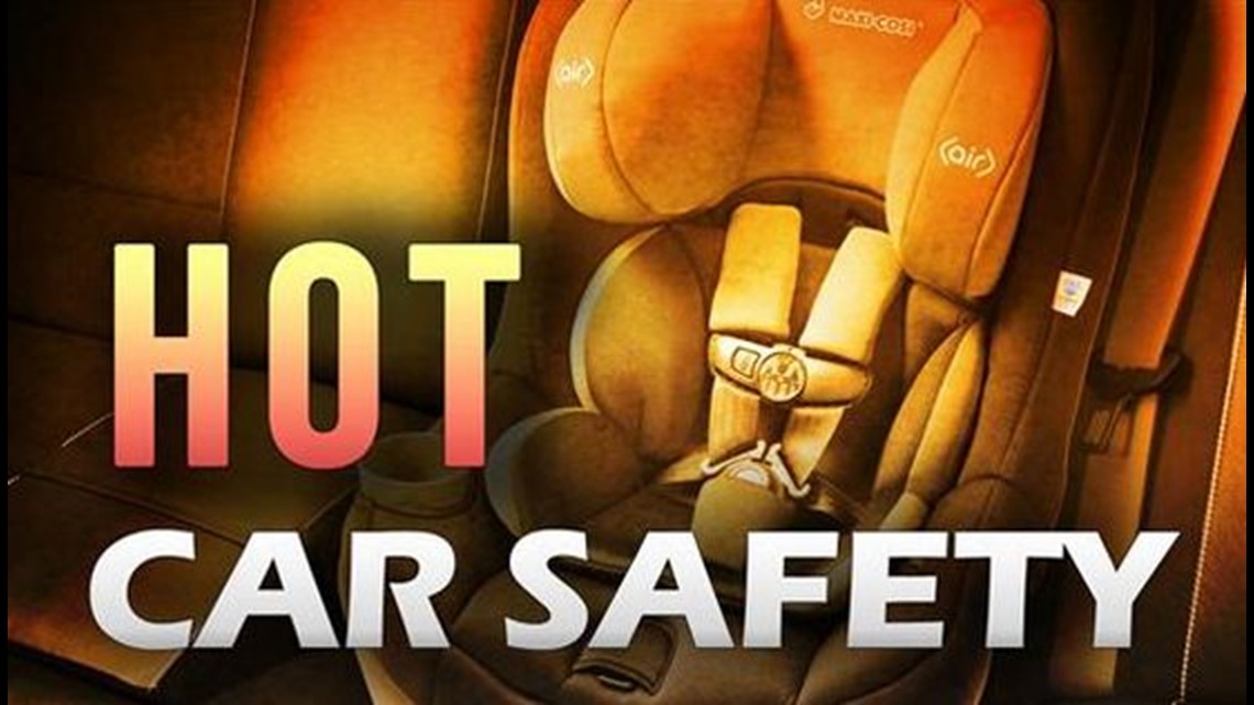 Texas News | Avoiding hyperthermia, heatstroke and hot car deaths ...