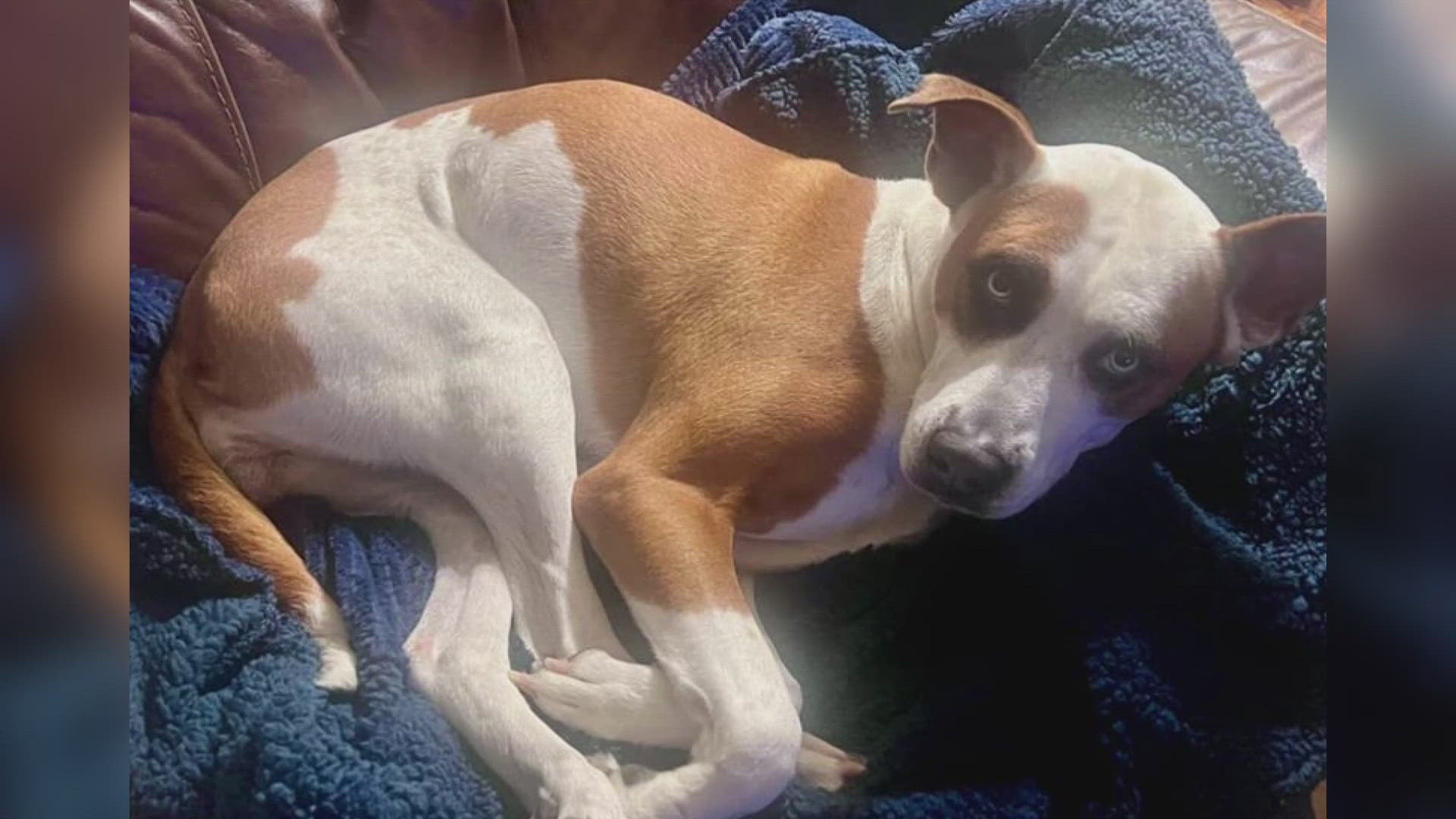 Snip and Tip nonprofit program offers unique Valentine's Day Special ...