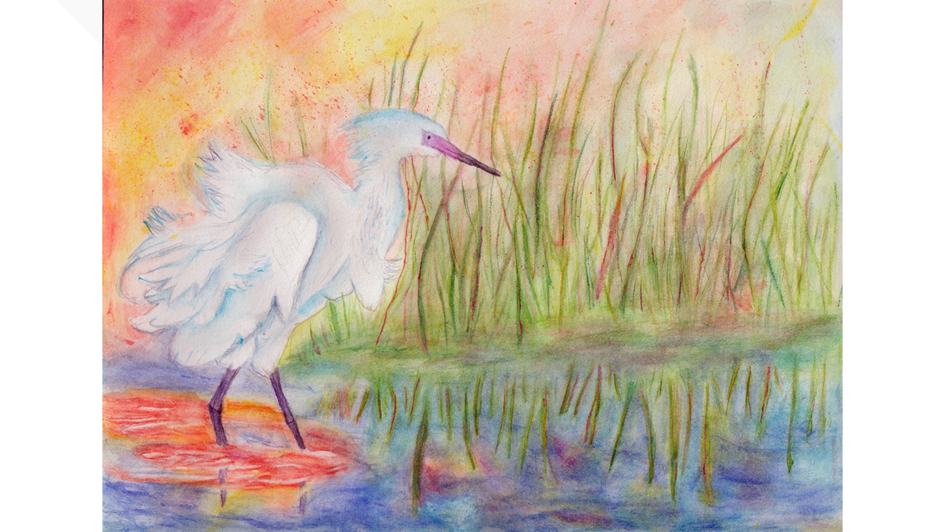 Treasures of Texas Coast Children's Art Contest winners chosen | kcentv.com