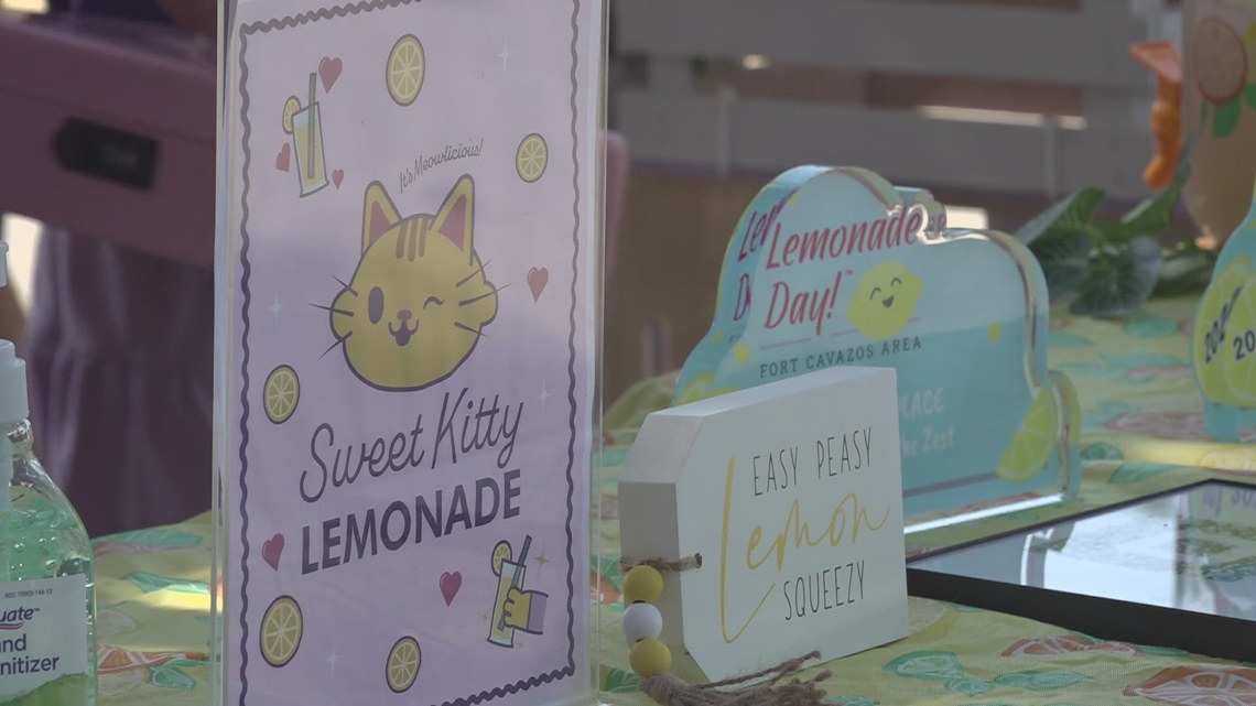 Girl in Killeen opens lemonade stand to help animal nonprofit | kcentv.com