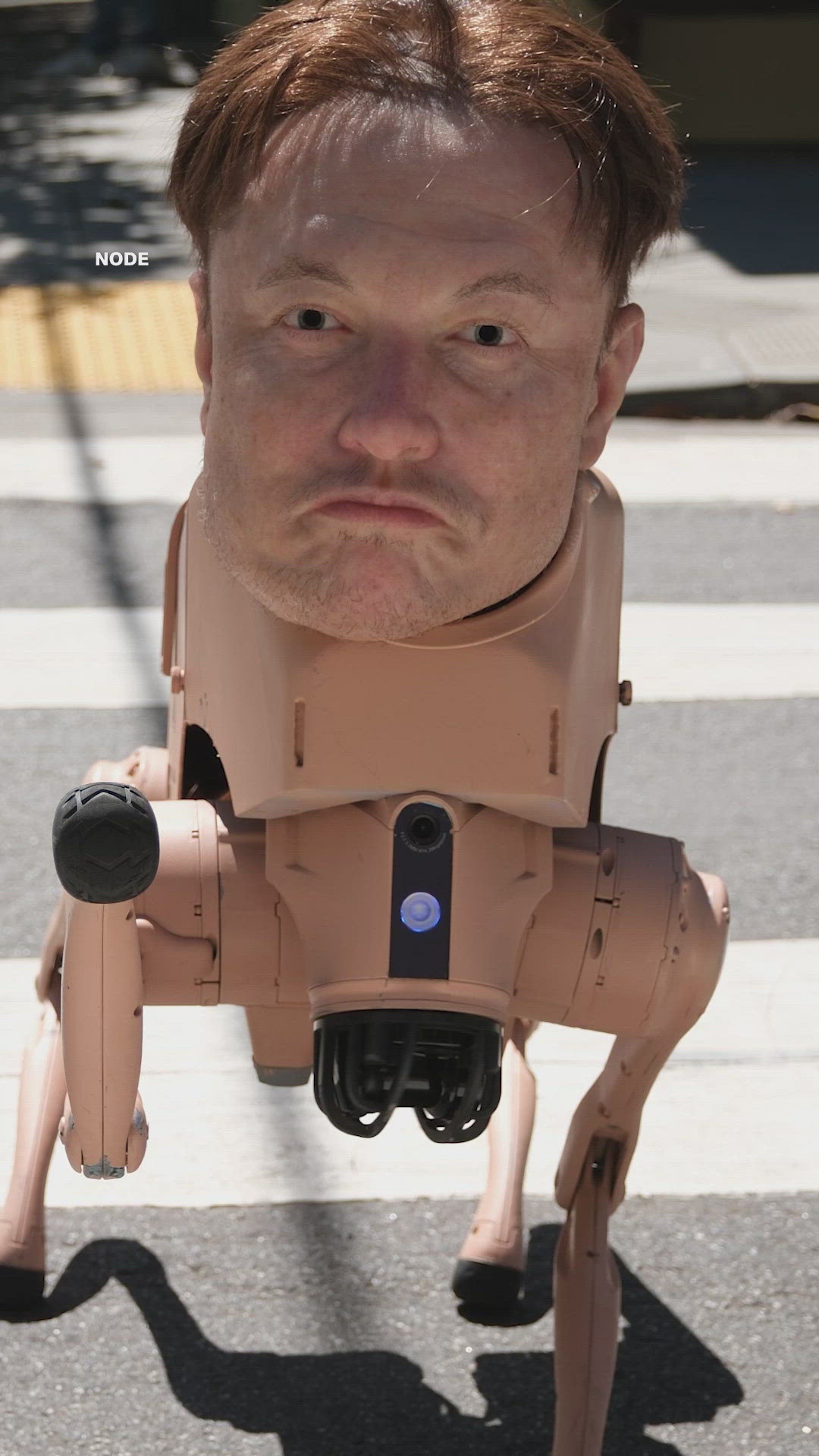 Dogs reaction to meeting Robot Dog with Elon Musk's Face | kcentv.com