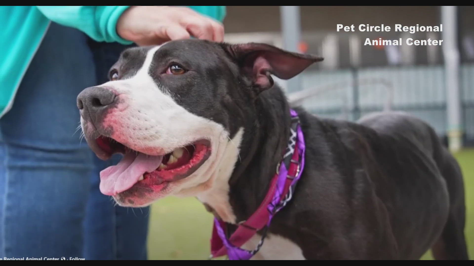 Georgetown teenage driver, passenger killed in three-vehicle crash on U ...