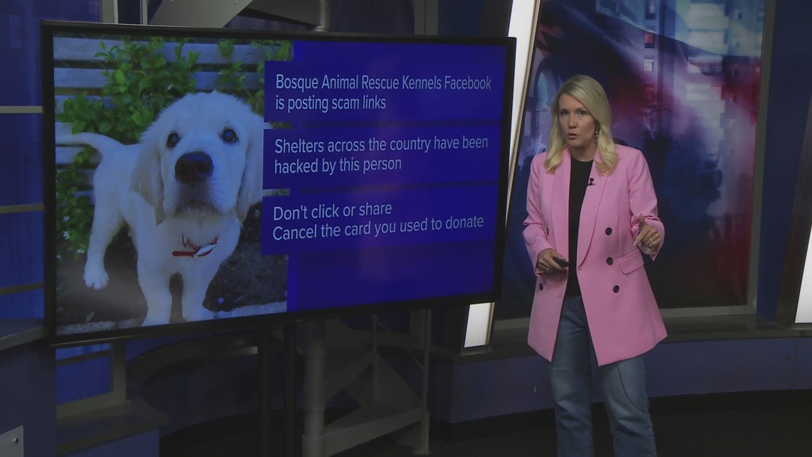 BARK animal shelter hacked, hackers posting scam links | Three things ...