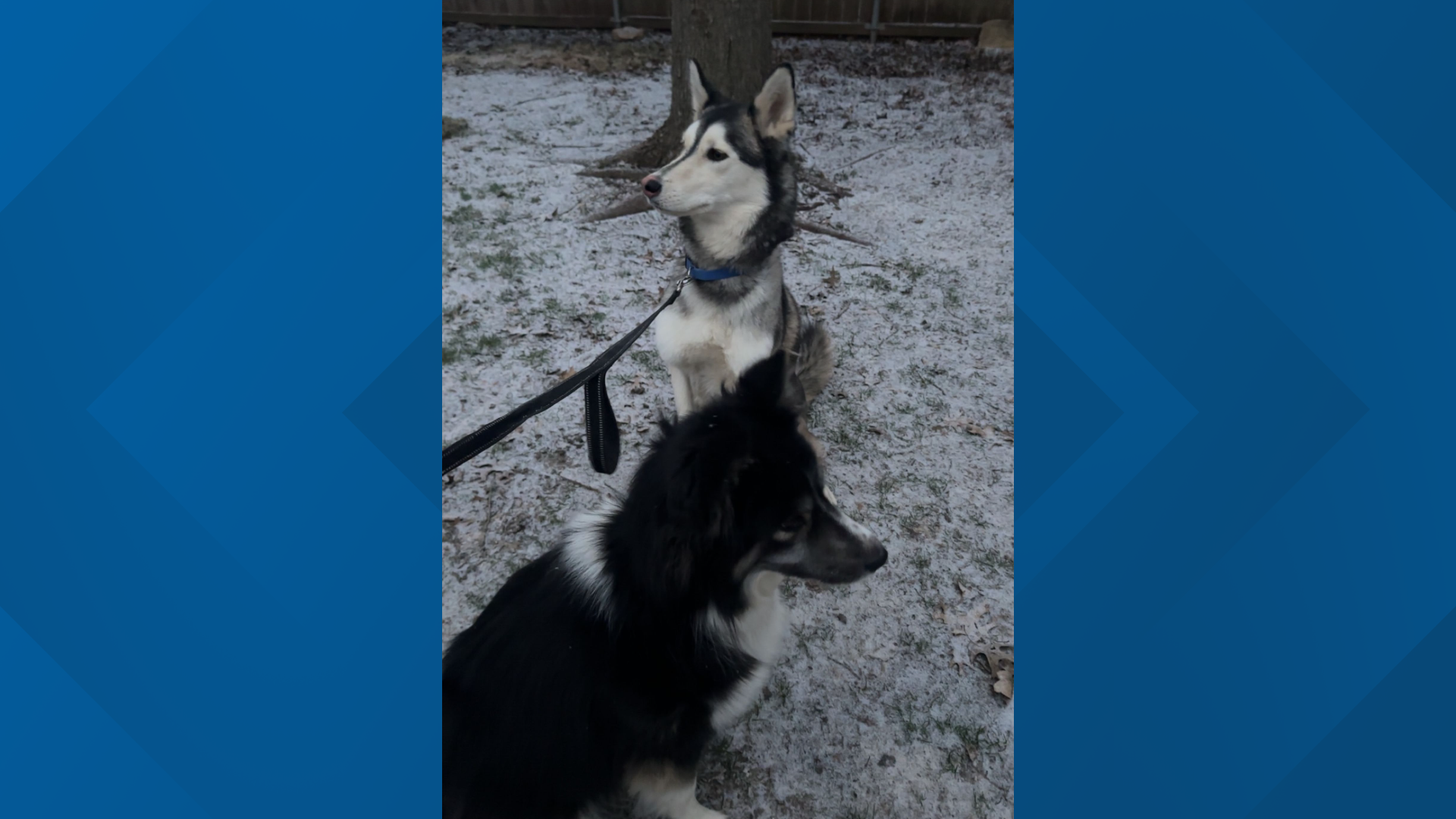 Weather Aware | Timing of the Arctic Blast | Central Texas | kcentv.com