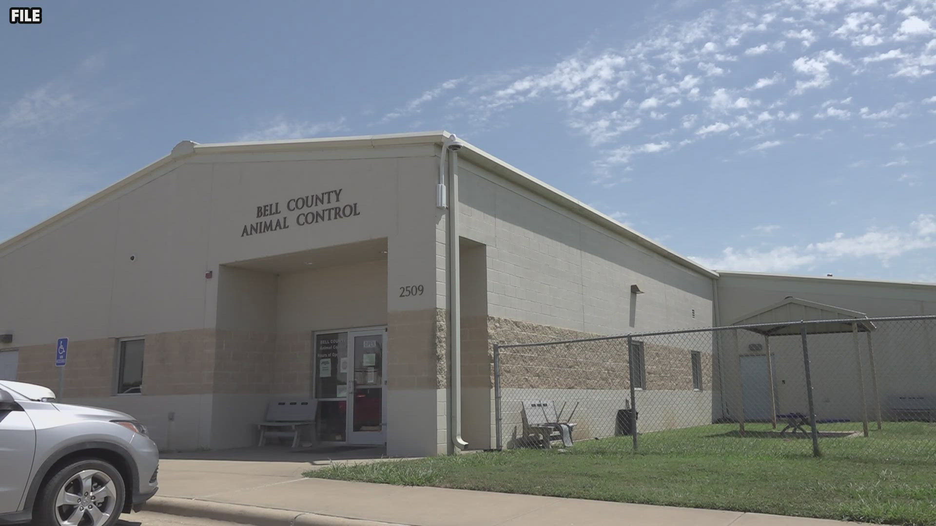 Bell County commissioners debate animal services staffing and safety ...