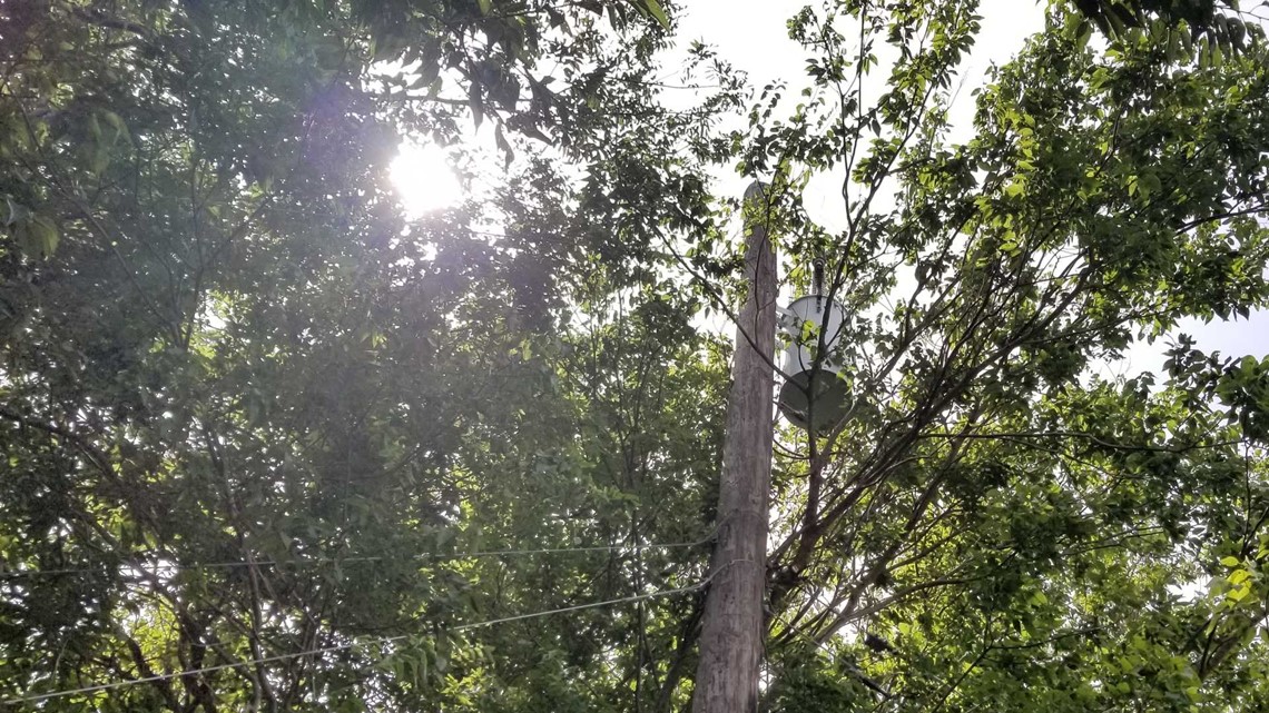 6 Fix: Who's responsible for trees next to backyard power lines ...