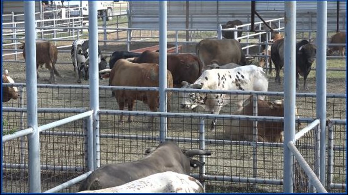 Killeen Rodeo celebrates local military | kcentv.com