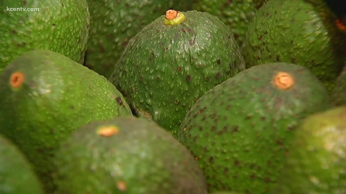 Thousands of stolen avocados discovered during traffic stop in Hill ...
