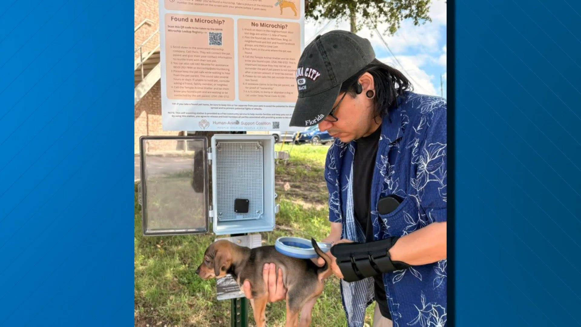 New Temple pet microchip station helps reunite lost animals | kcentv.com