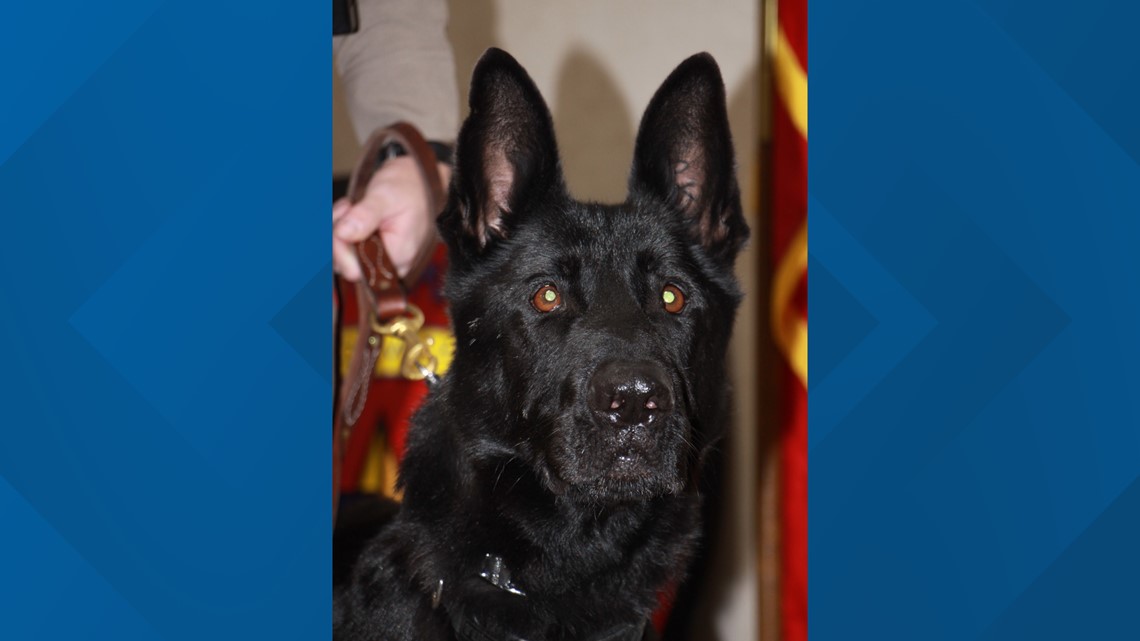 Texas Department of Public Safety hosts memorial for fallen K9 | kcentv.com