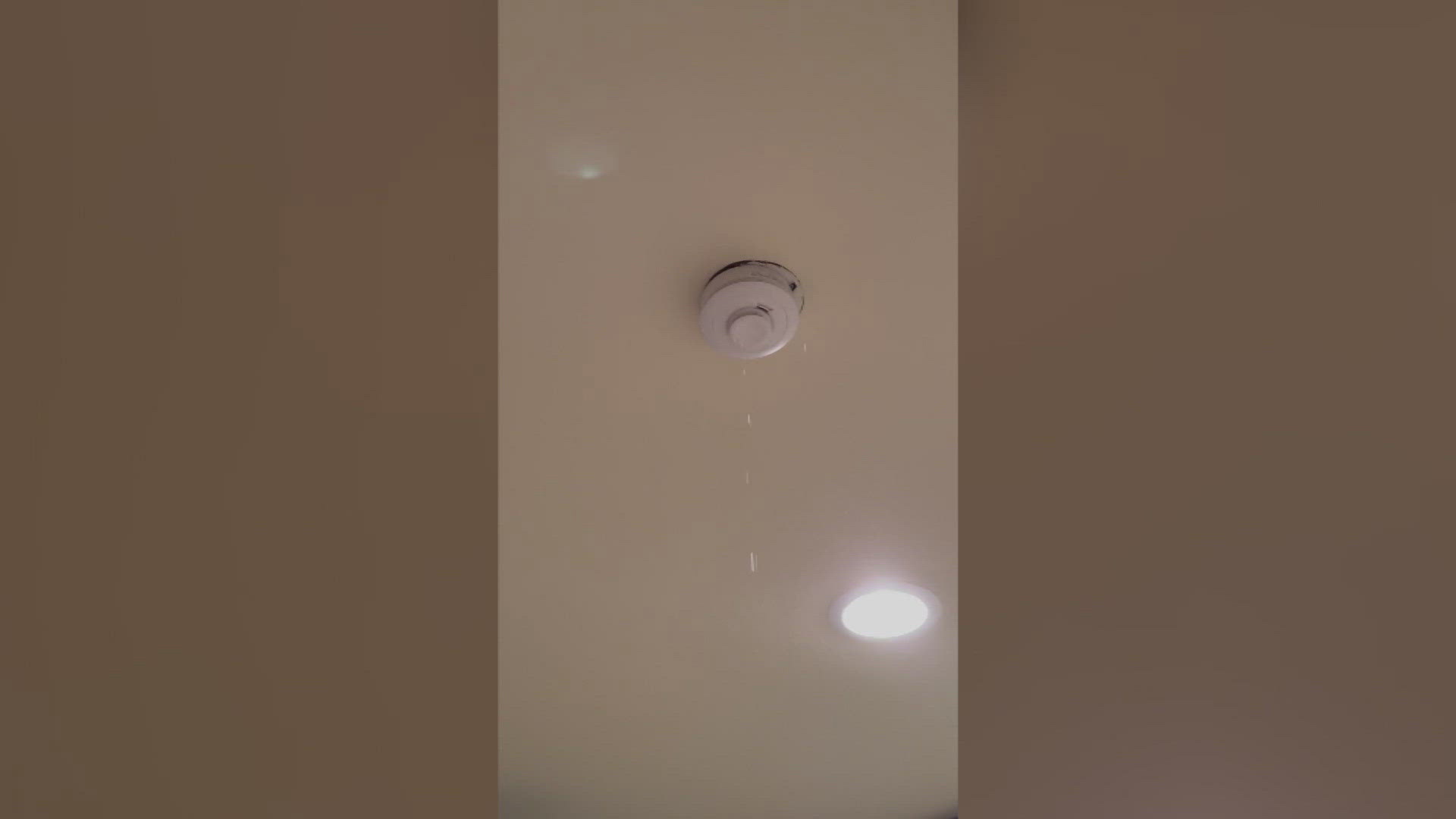 Florida man accused of opening fire after argument over chickens laying ...