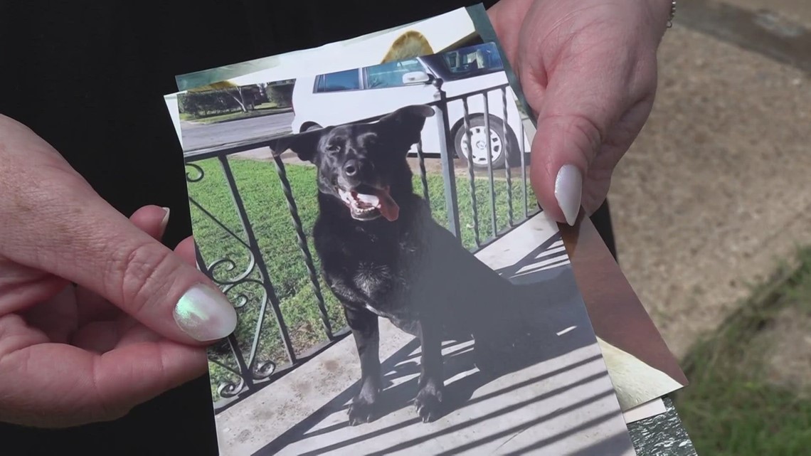 Waco, Texas News | Body cam released of officers shooting dog | kcentv.com