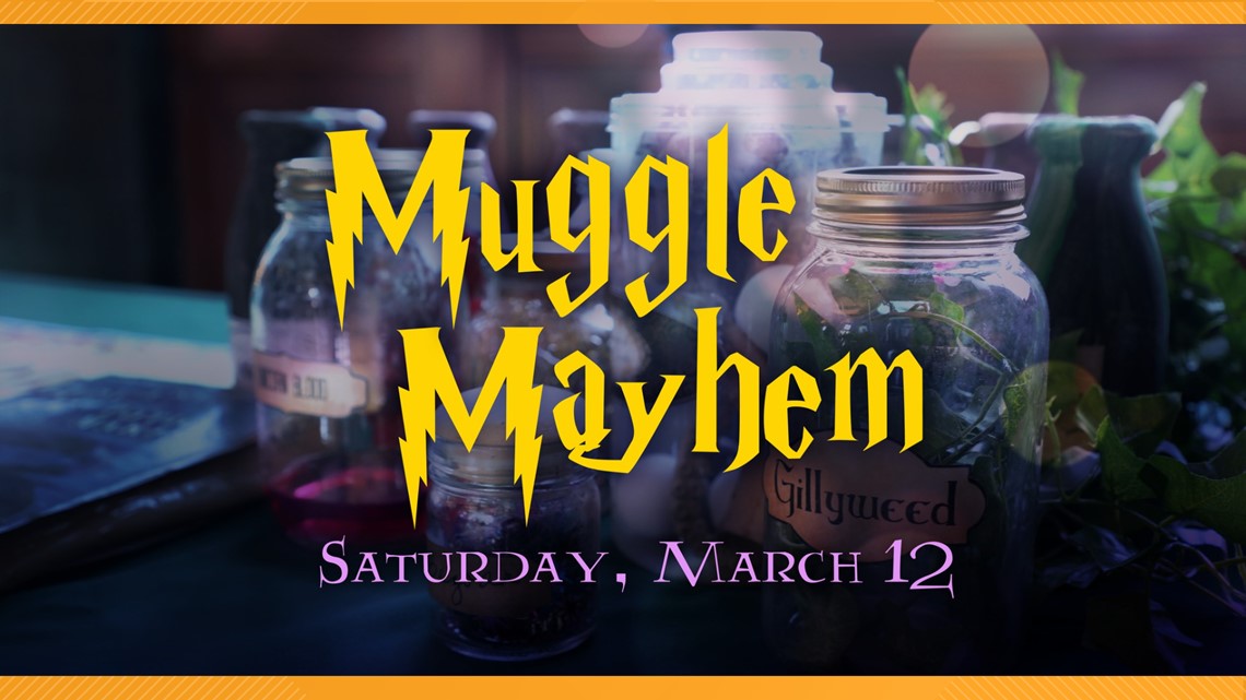 Wizarding World experience with Muggle Mayhem | kcentv.com