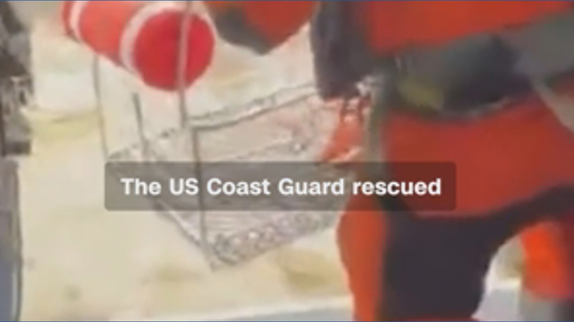U.S. Coast Guard rescues shipwrecked sailor | kcentv.com