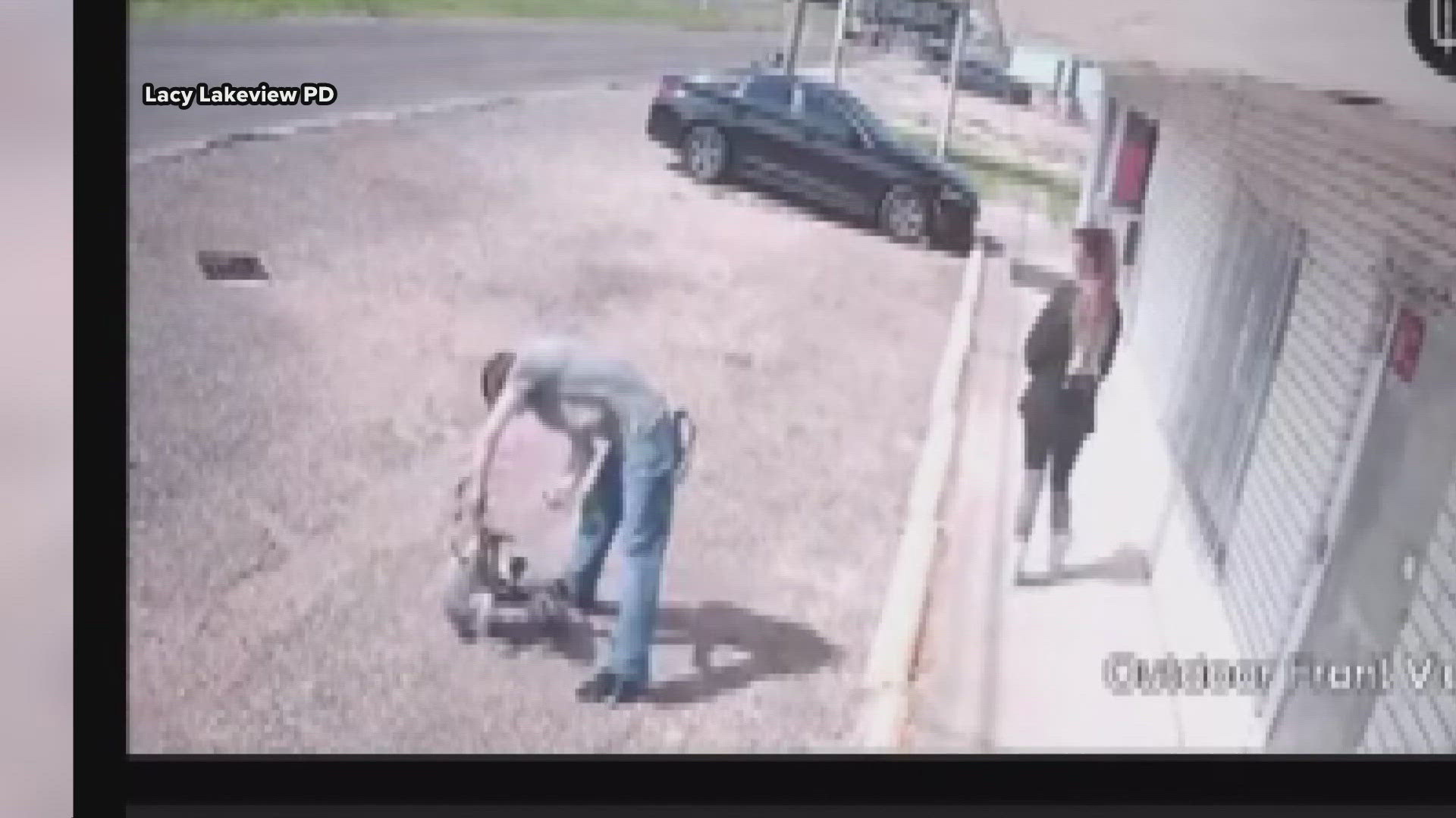 Lacy Lakeview Police Department investigating video of alleged animal ...