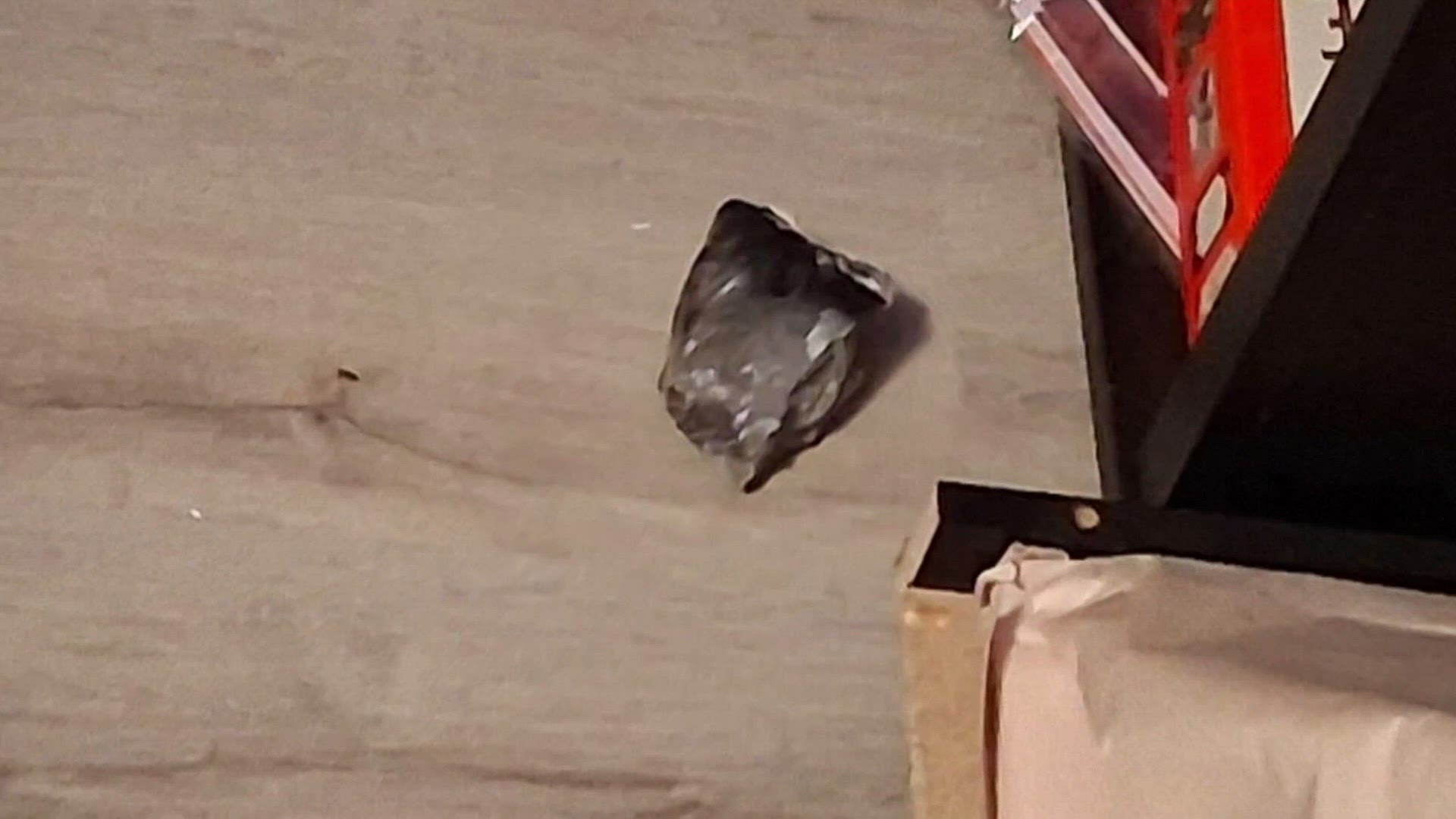 Houston-area homeowner says a meteor hit her house | kcentv.com