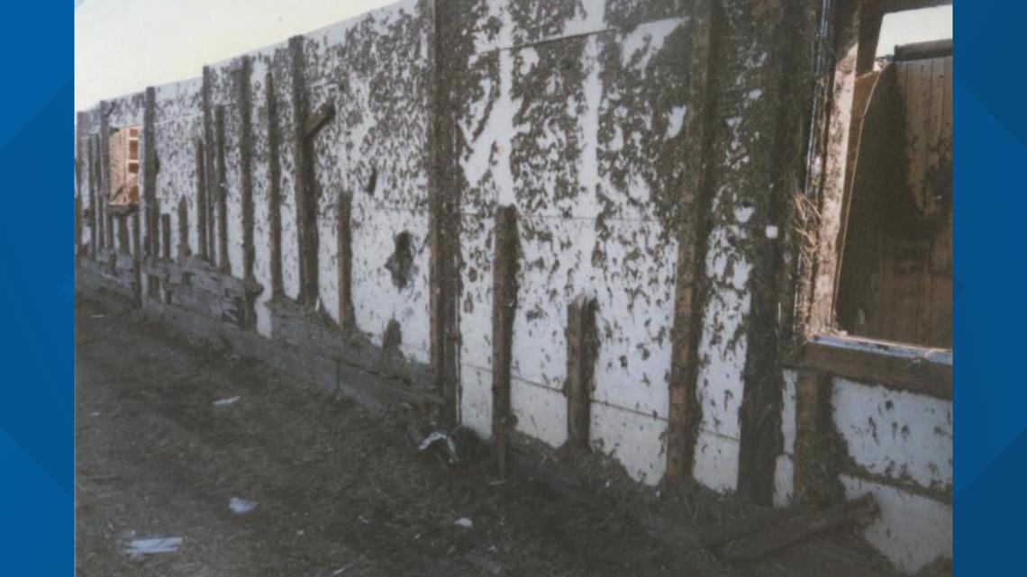 Survivors remember deadly 1997 tornado in Jarrell | kcentv.com