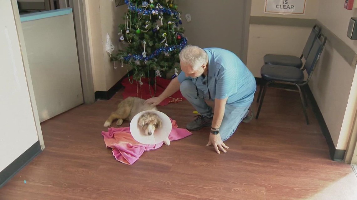 Texas man reunited with dog after seven years | kcentv.com