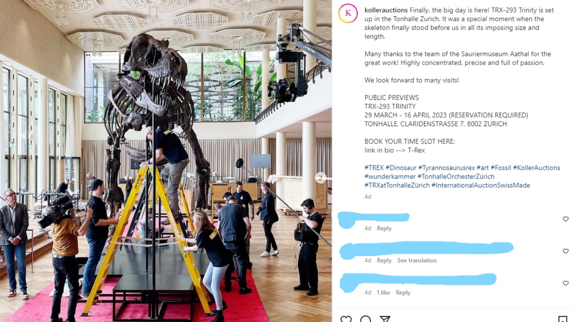 T-Rex skeleton to go up for auction in Switzerland | kcentv.com