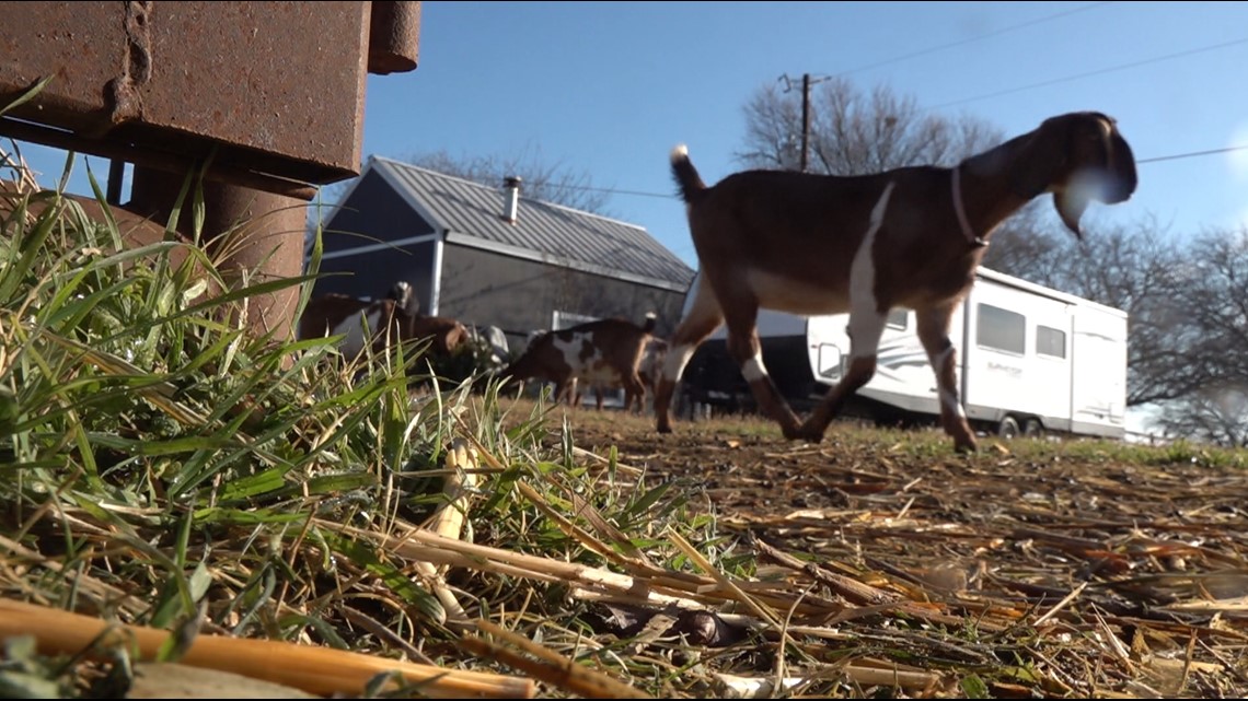 The Small Farm: American Dream come true | kcentv.com