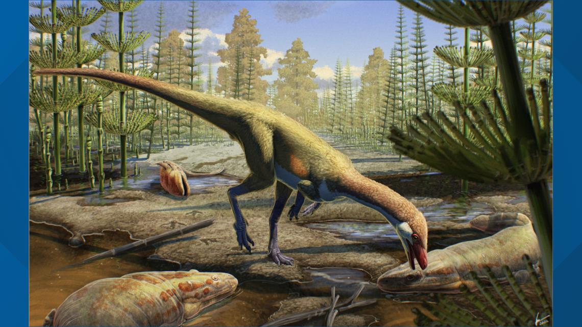 Scientists find possibly the oldest dinosaur found in North America ...