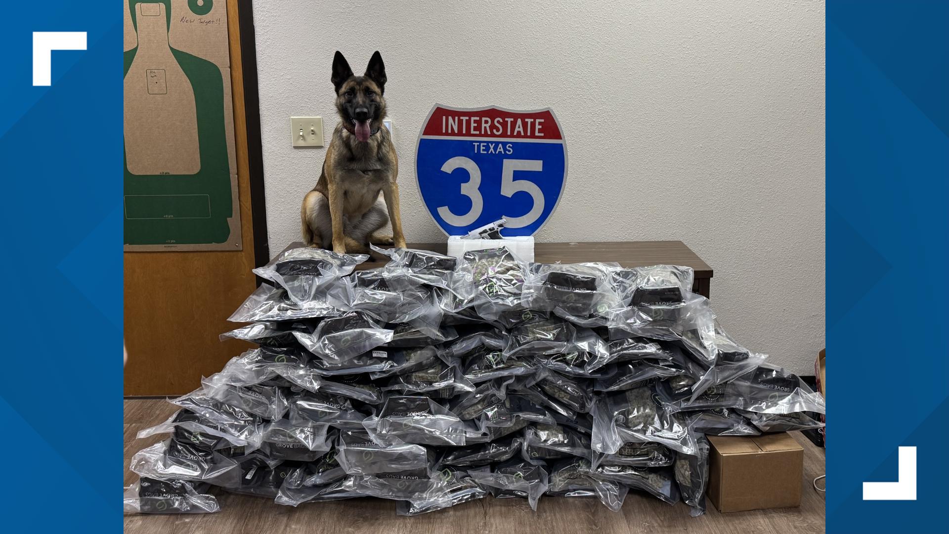DPS seizes 79 pounds of marijuana in McLennan County | kcentv.com