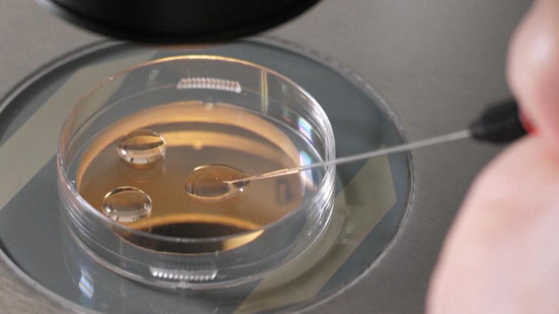 Texas GOP delegates approve platform language targeting IVF | kcentv.com