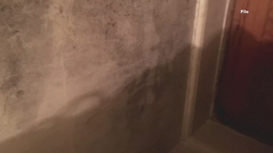 Army family awarded over $10 million for mold-infested home | kcentv.com