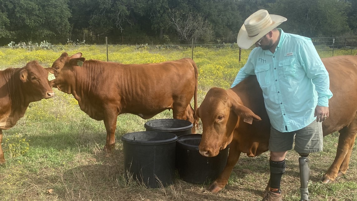 Rising meat prices helps Central Texas ranchers | kcentv.com