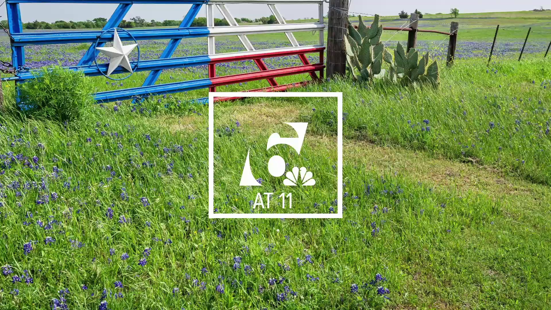 6 News at 11:30: November 12, 2025 | kcentv.com