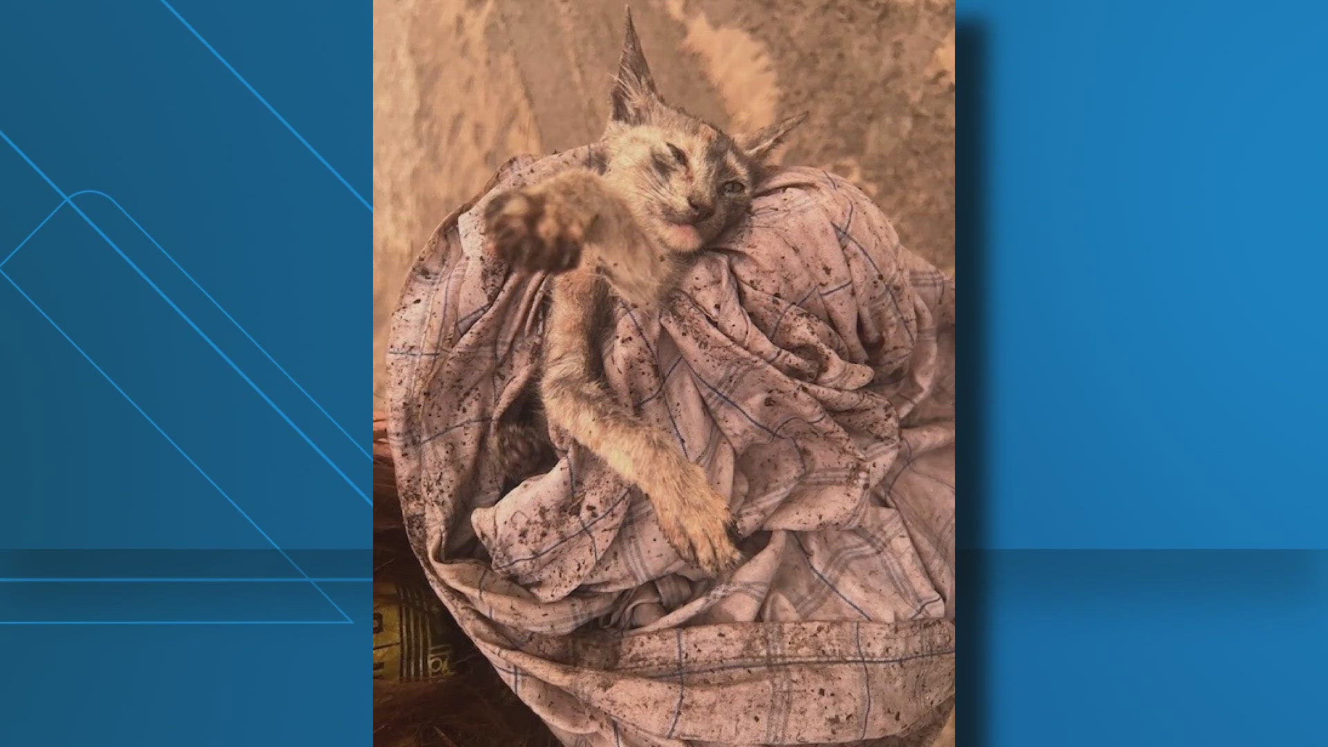 Alaska Dive Team finds boat, bodies of Maynard family of Troy, Texas ...