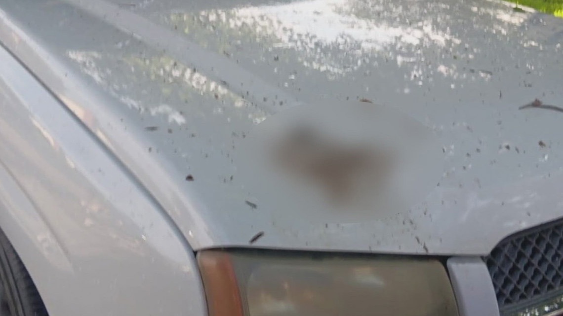 Temple, TX: Police weigh in on neighbor dispute escalating to feces ...