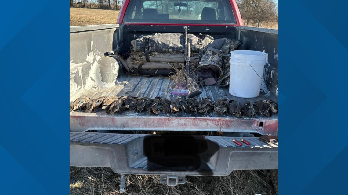 Game wardens cite three hunters for illegal duck hunt near Axtell ...