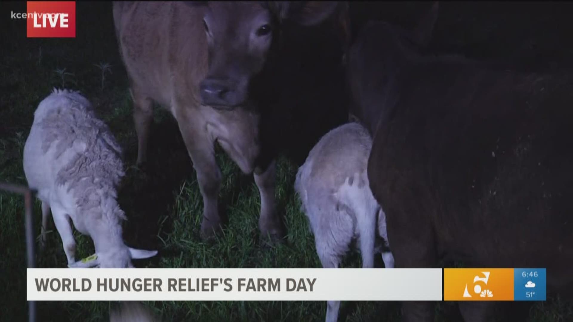 Get back to your roots for Farm Day at World Hunger Relief Farm ...