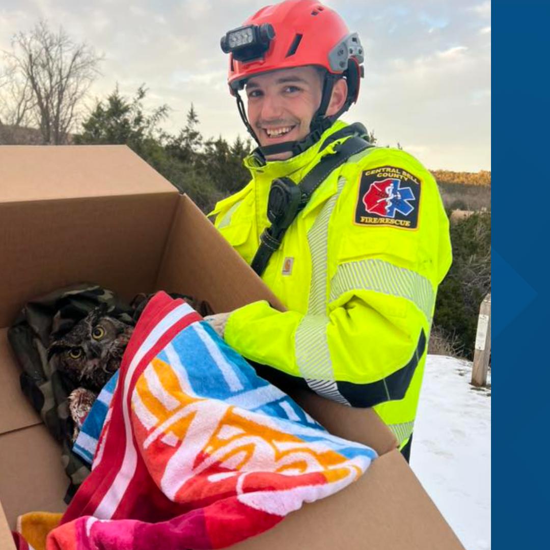 Central Bell Fire & Rescue saves owl during winter storm | kcentv.com