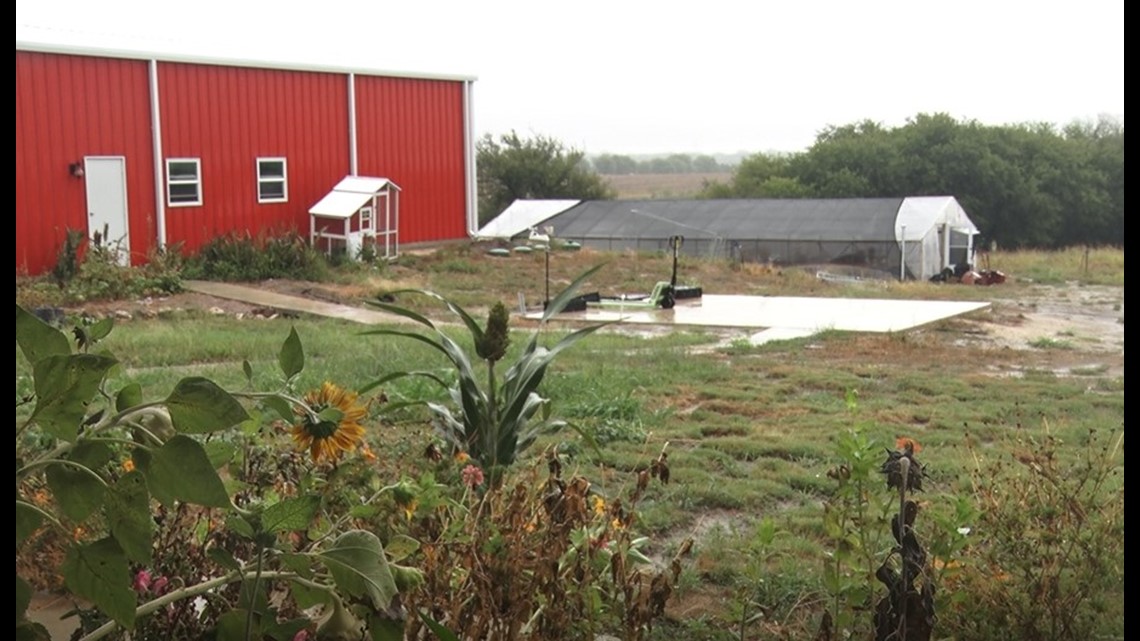 Central Texas farmer is challenged by the ongoing drought | kcentv.com