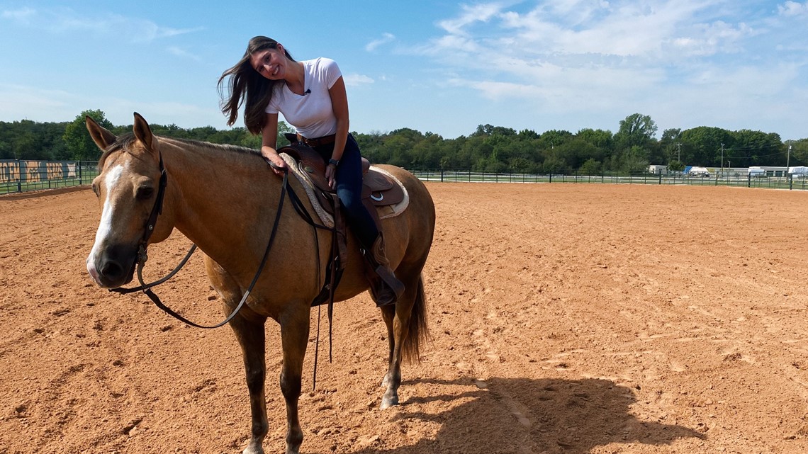 Horsemanship with Baylor Equestrian | kcentv.com