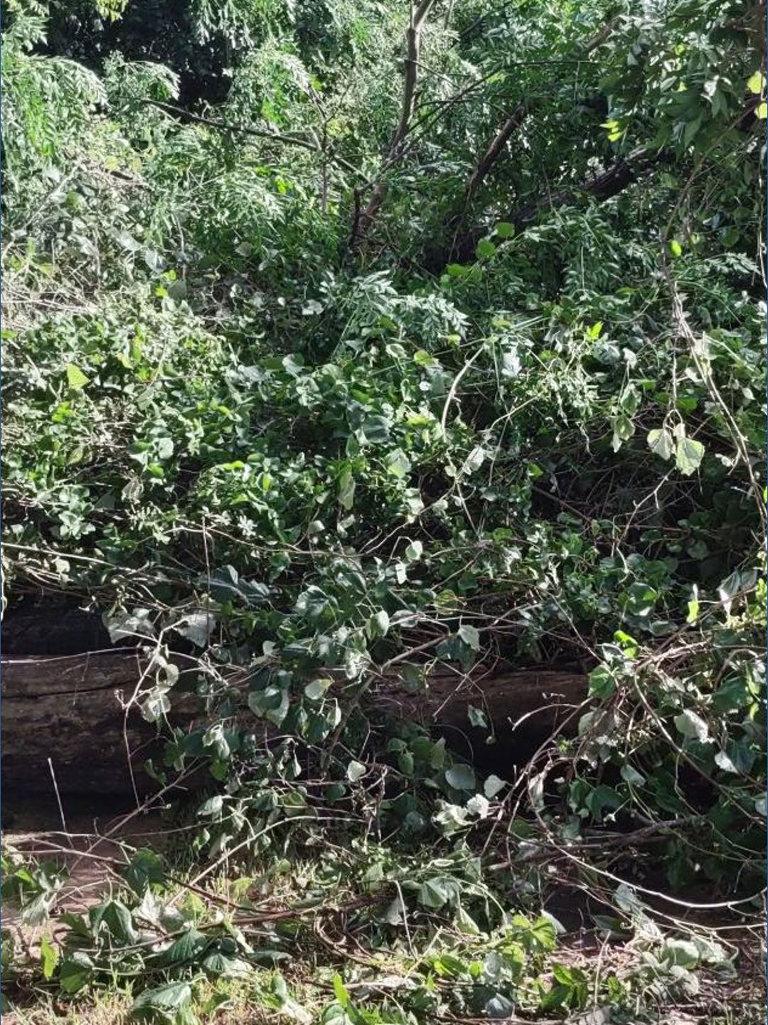Central Texas storm damage, see the damage from around our area ...