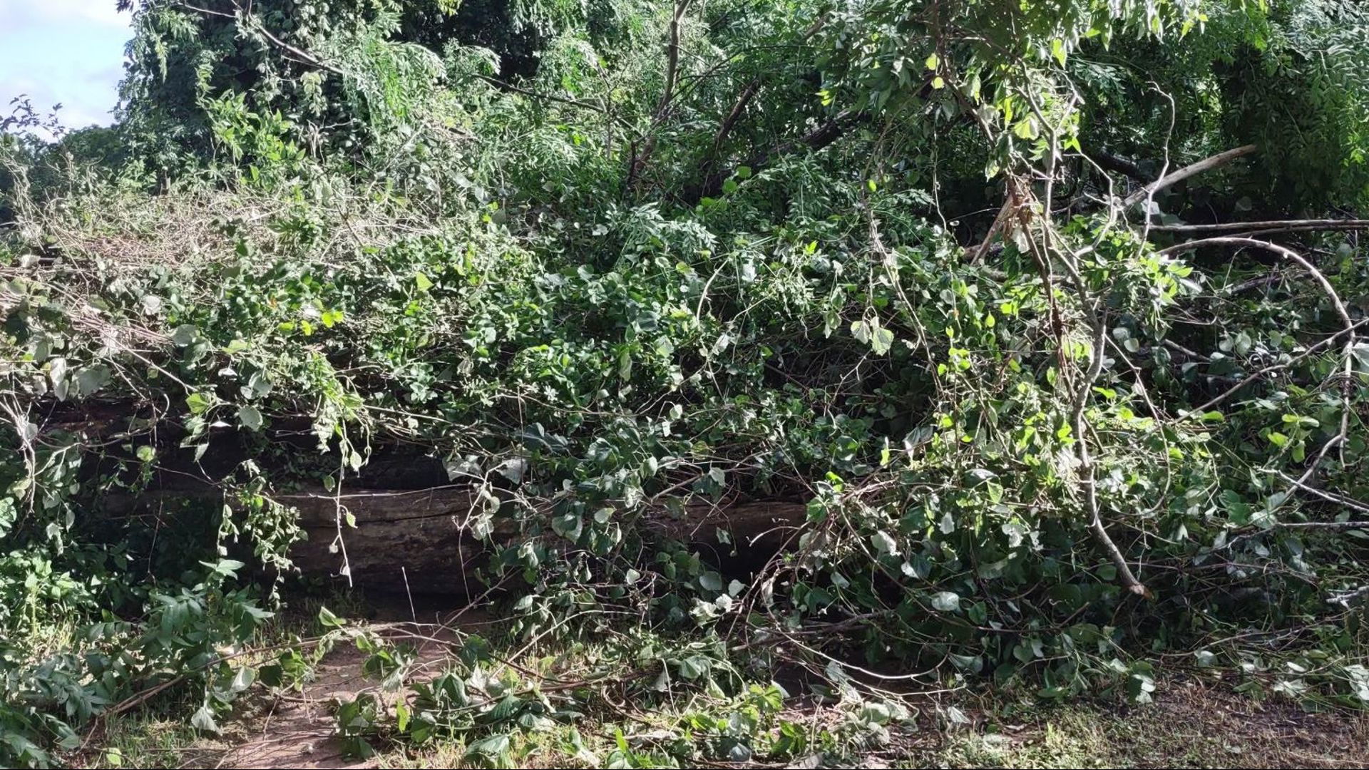 Central Texas storm damage, see the damage from around our area ...