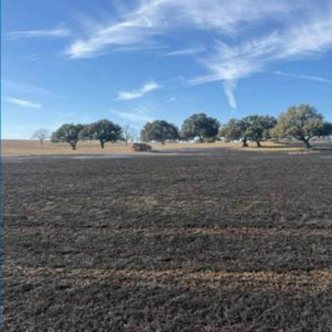 Multiple fire departments extinguish grass fire in Belton | kcentv.com