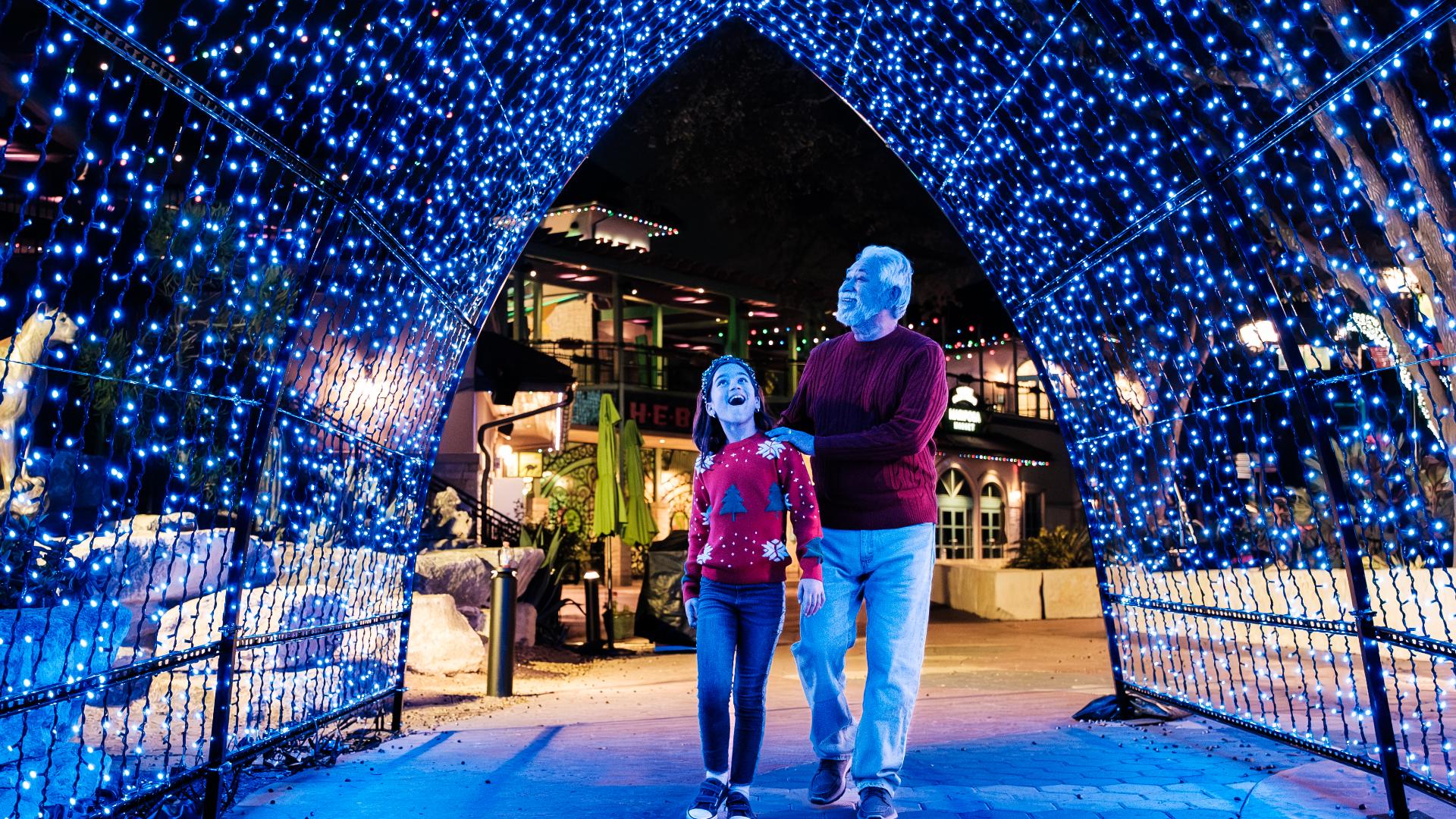 Texas zoo offers $8 Christmas Day entry for all, featuring 'Zoo Lights ...