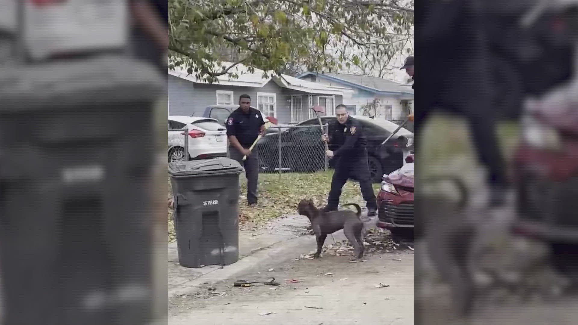 Lawsuit filed in deadly dog attack on San Antonio's west side | kcentv.com