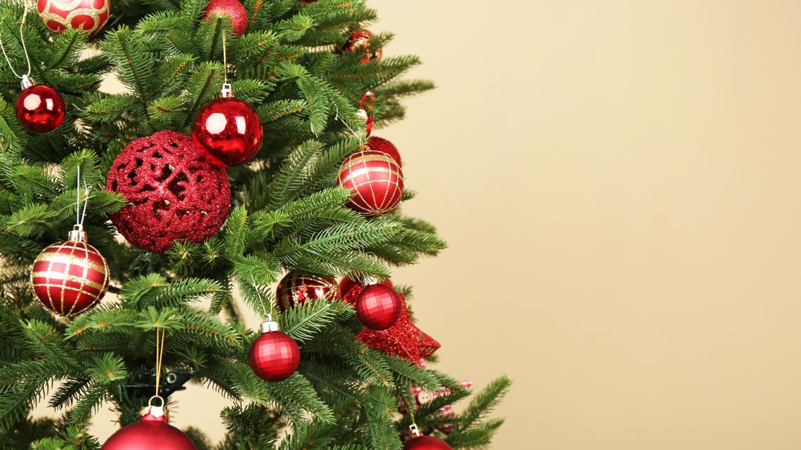 Central Texas: Where to find real Christmas trees and how to care for ...