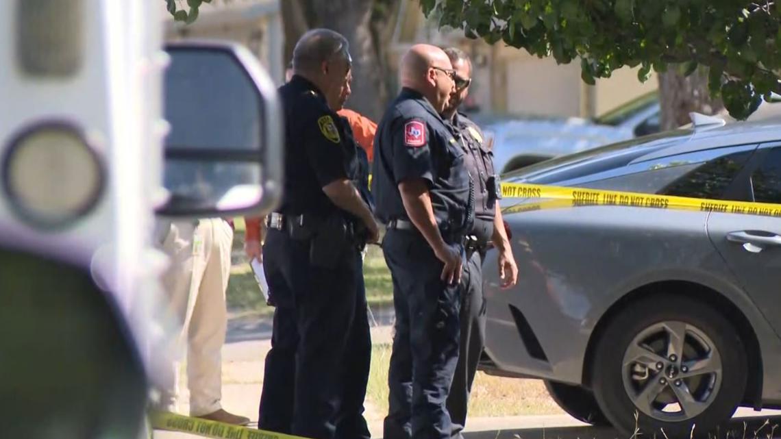 Baby boy seriously hurt after being mauled by dogs in Texas home ...