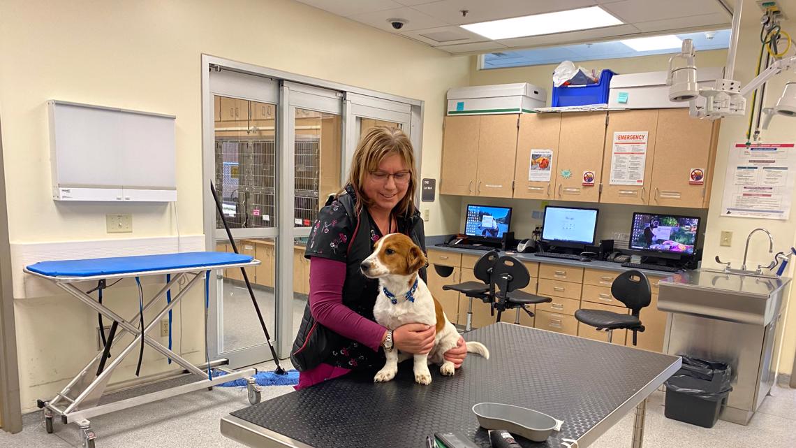  We Are Open Fort Hood Vet Clinic Open Now With Limited Services 