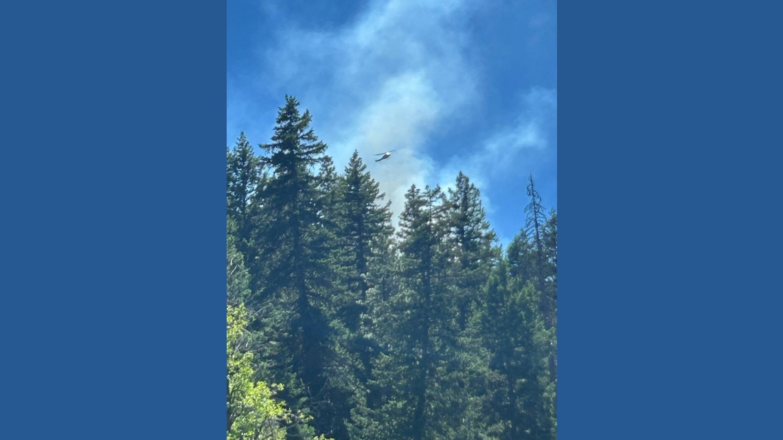 Pilot safe after military aircraft crashes in Washington state | kcentv.com