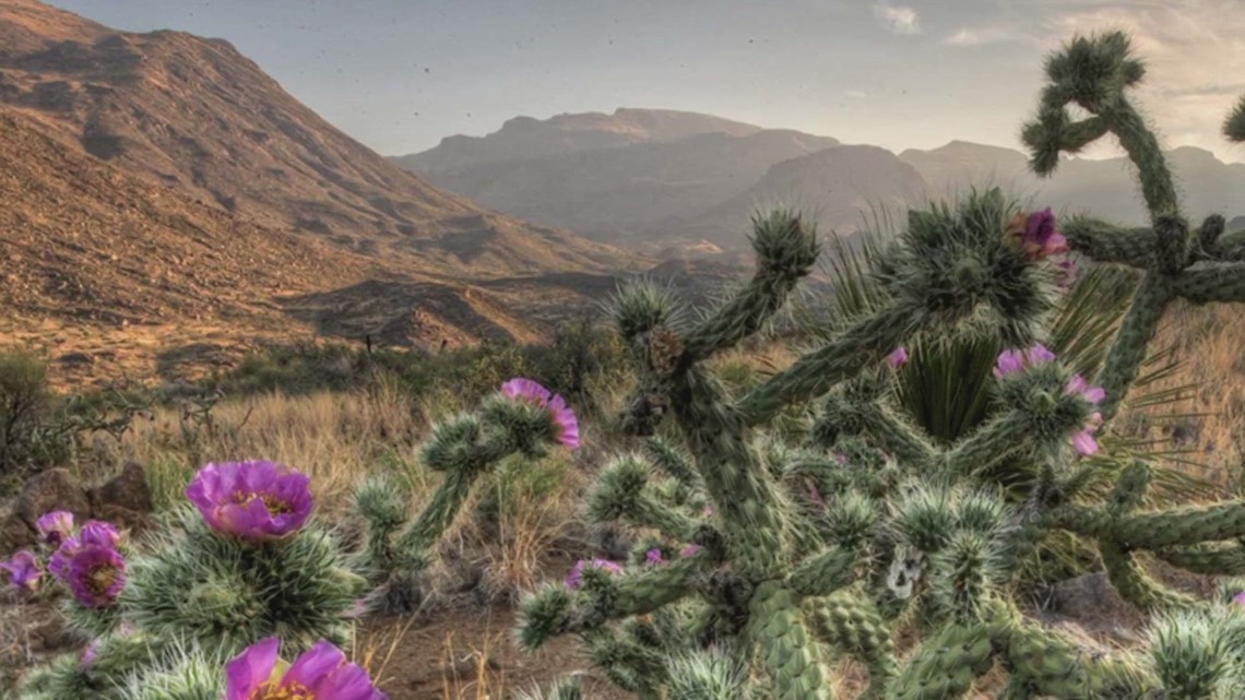 Six new state parks coming to the State of Texas | kcentv.com