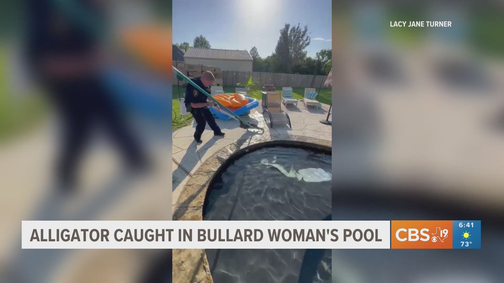 Texas woman finds alligator in her pool | kcentv.com
