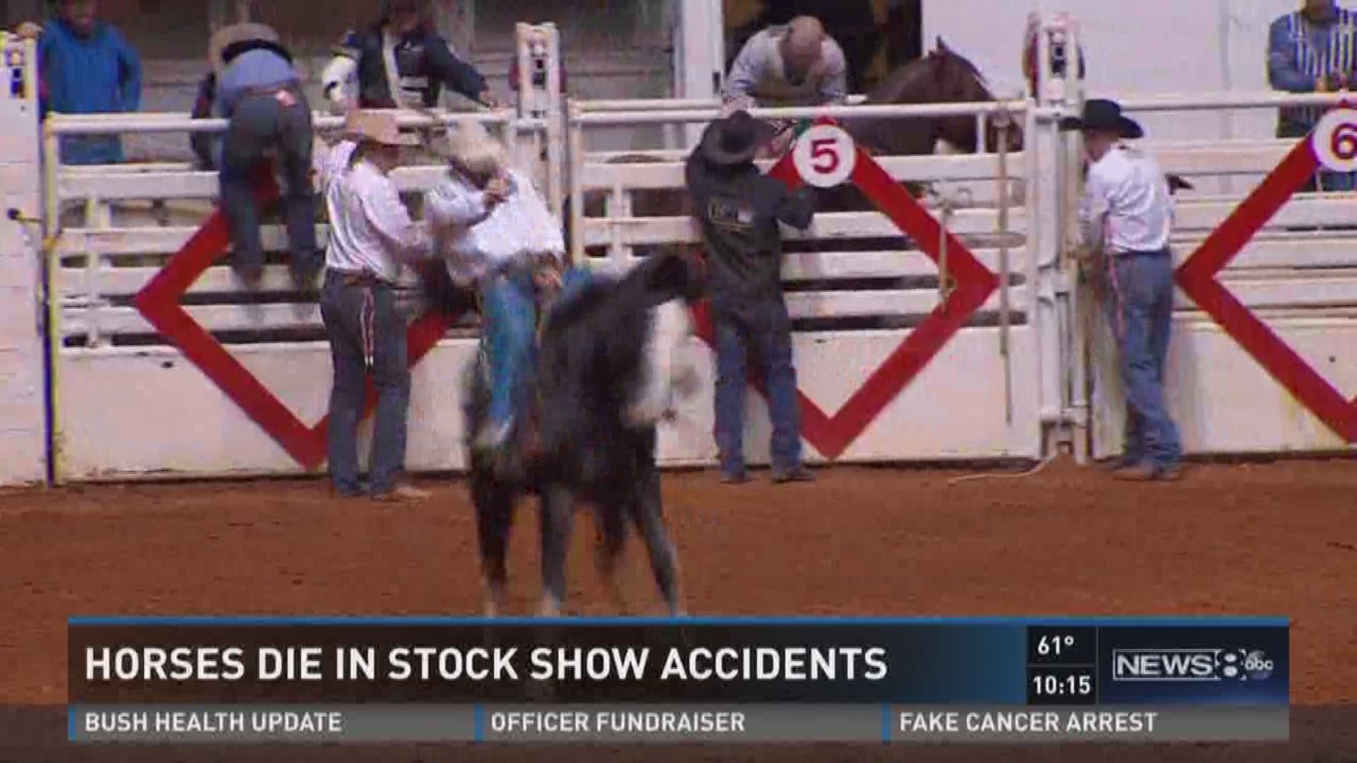 Horse dies after crashing into wall at Fort Worth Stock Show & Rodeo ...
